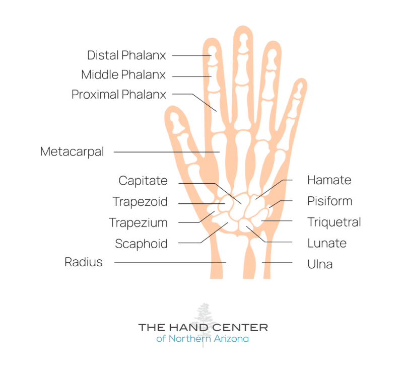 Treatments for Hand Fractures in Flagstaff, AZ