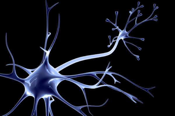 Nerve Repair Surgery: Restoring Sensation and Movement After Injury